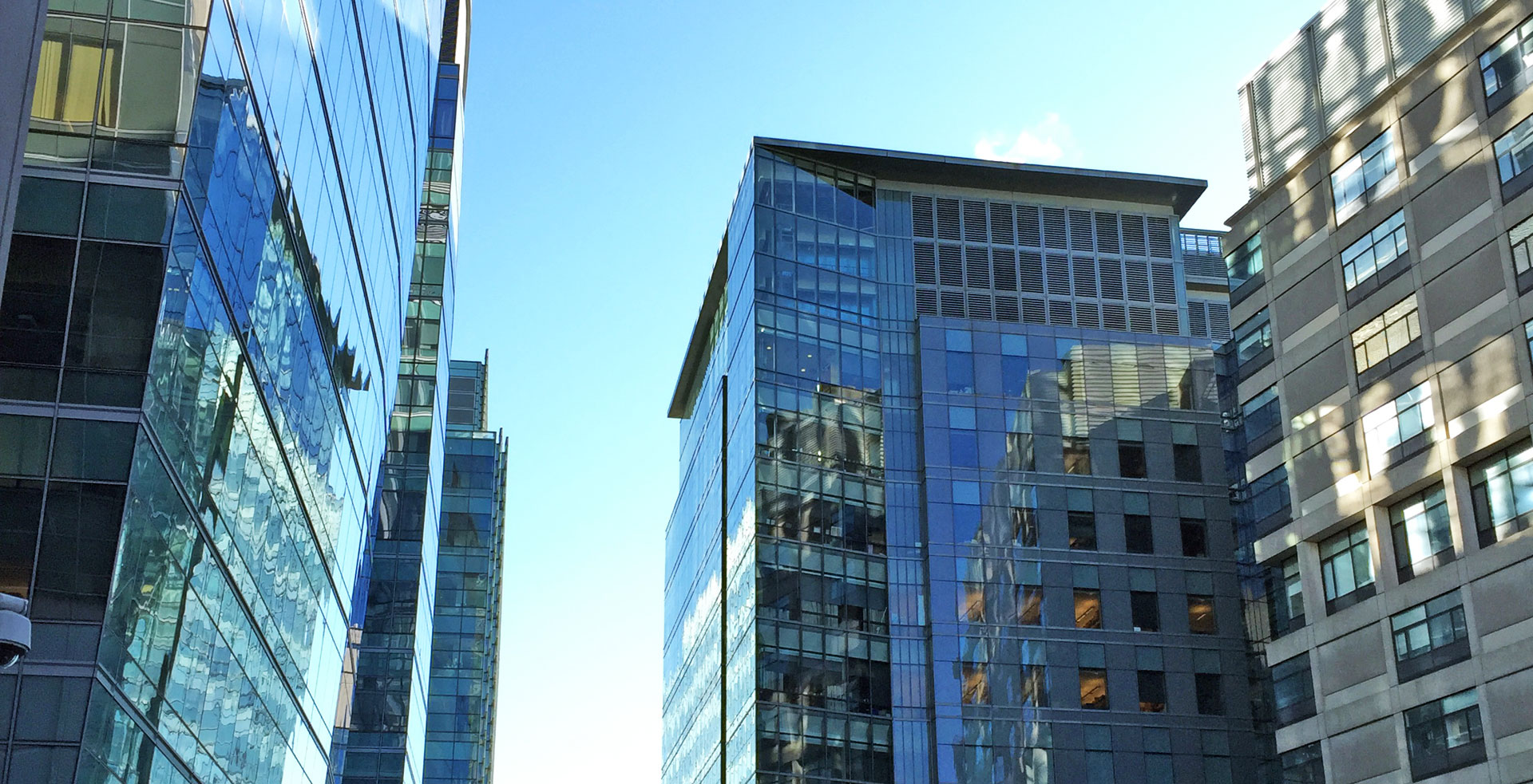 Partnership with the Wyss Institute Launched - adaptable